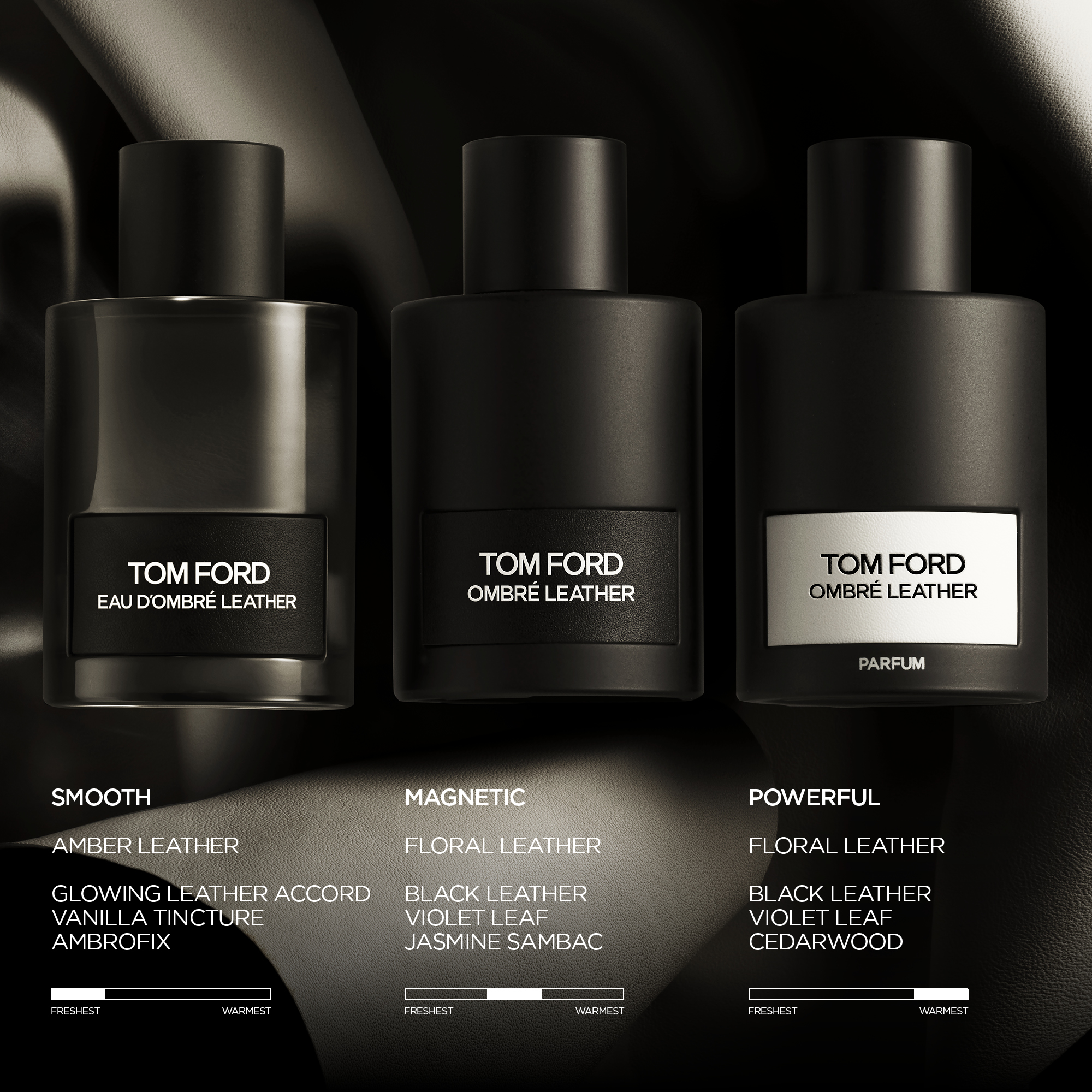 Tom ford ombre store