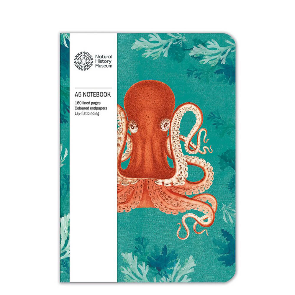 Museums & Galleries Octopus Lined Notebook A5 | Jarrolds, Norwich